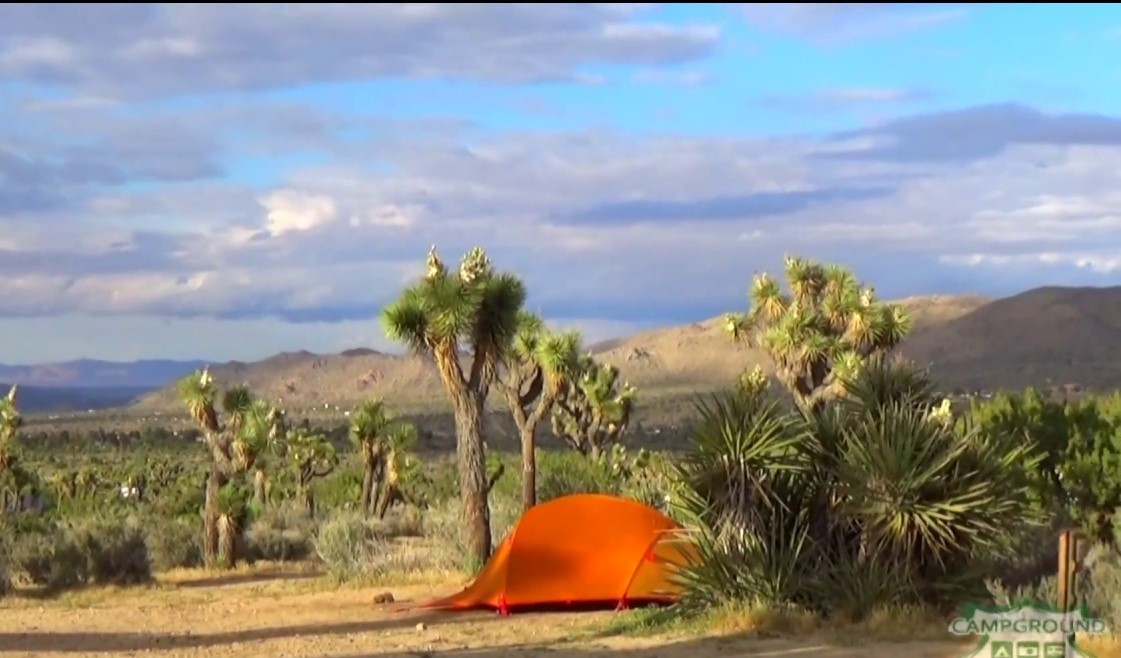 Top 10 Best Desert Campgrounds in the Mojave National Park